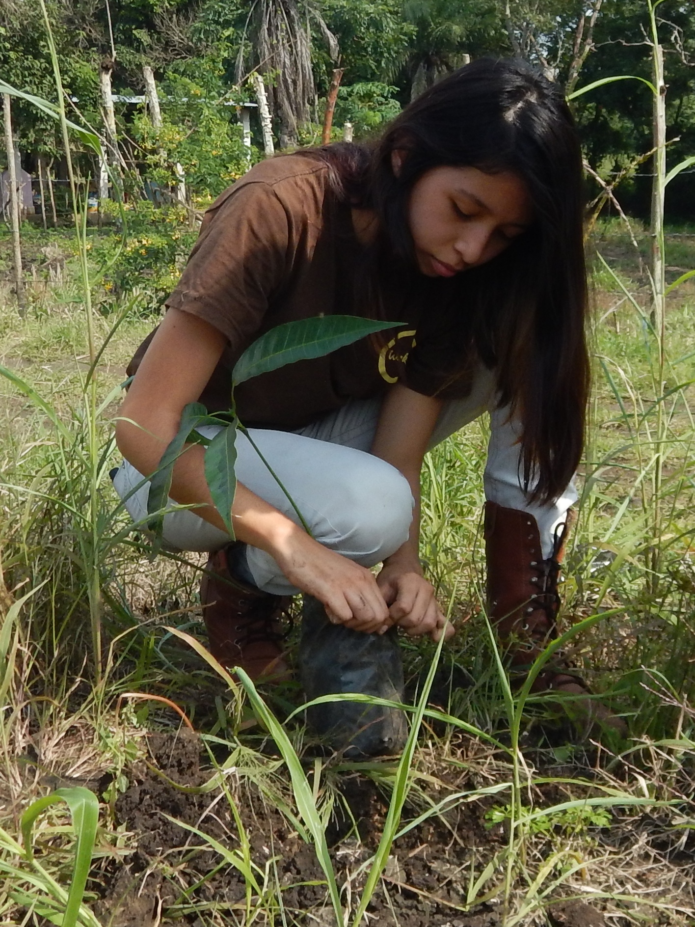 Caring for the Forest that Cares for Us – The Mindfulness Bell
