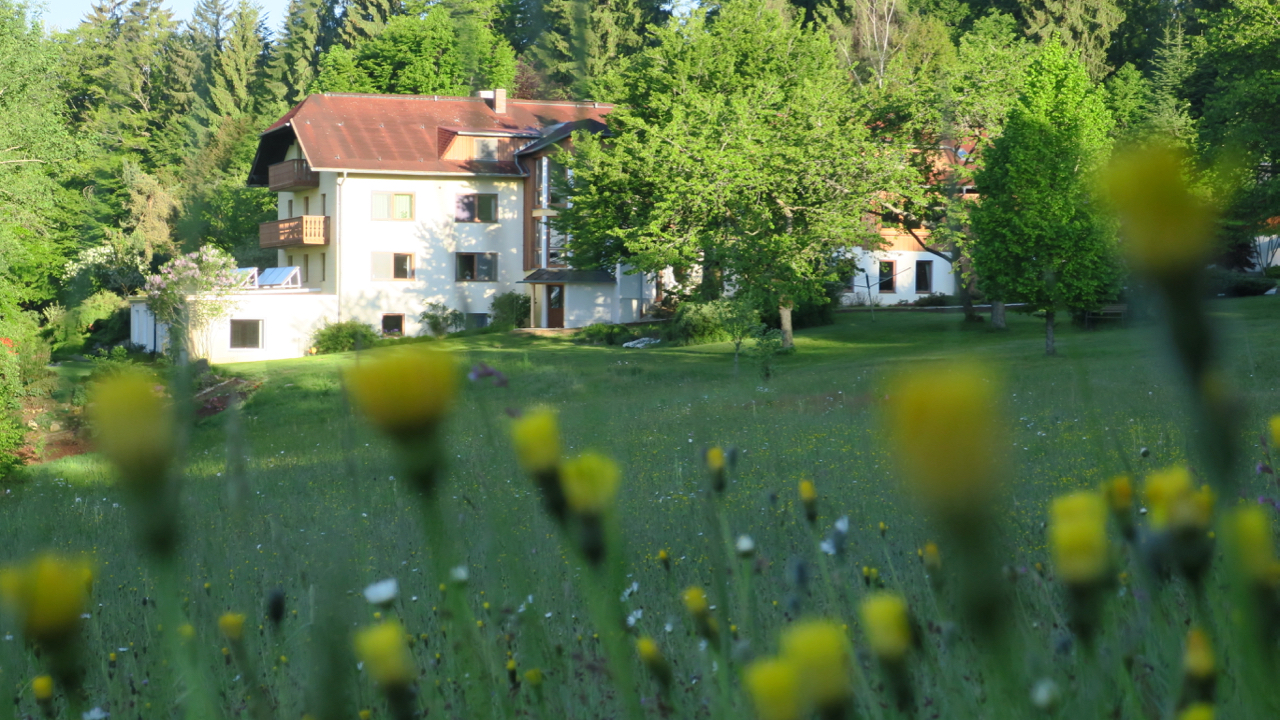Intersein-Zentrum – The Mindfulness Bell