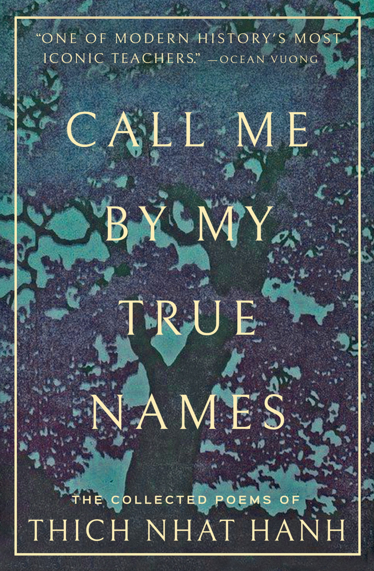 Call Me By My True Names New Edition Parallax Press