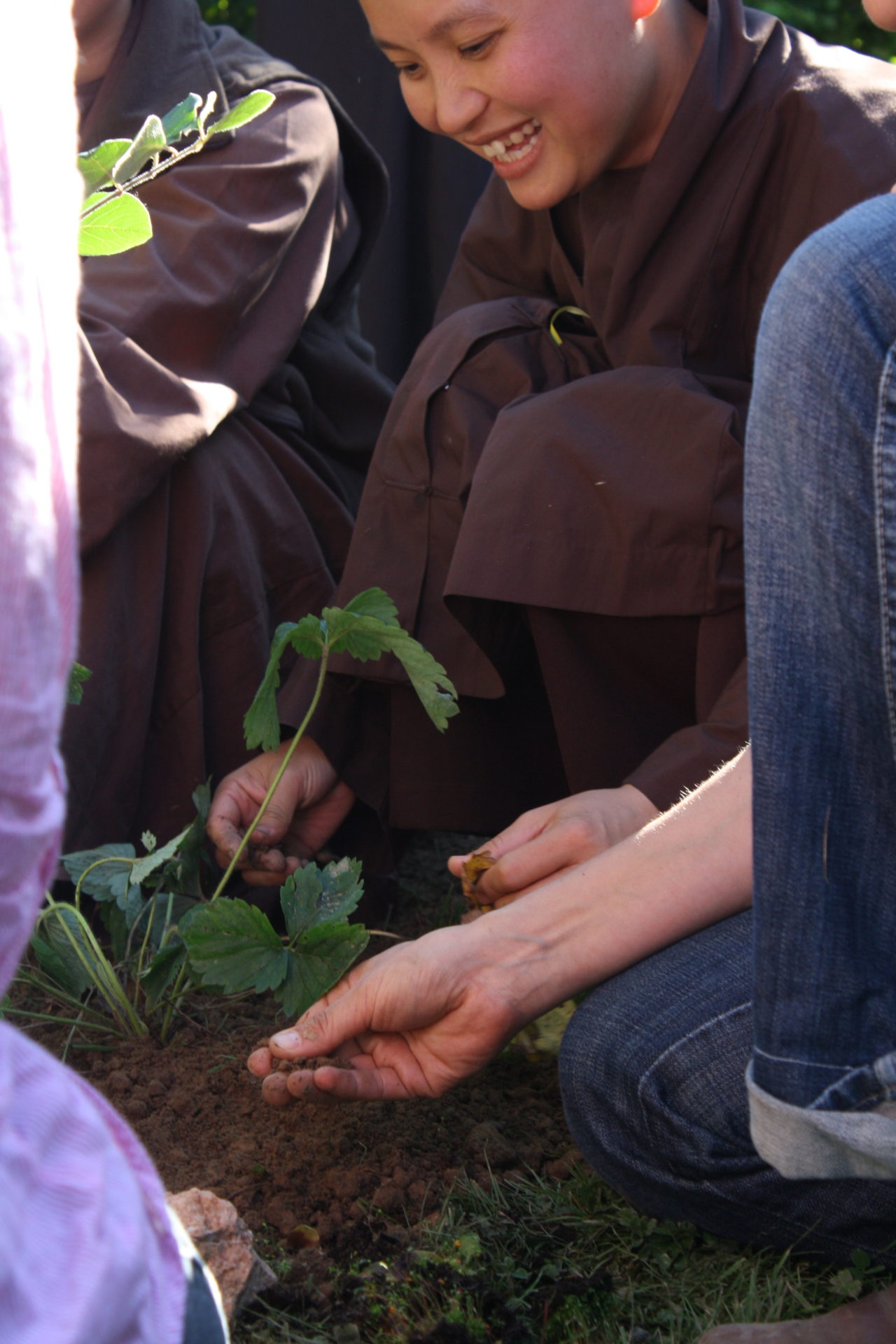 The Seedling Project – The Mindfulness Bell