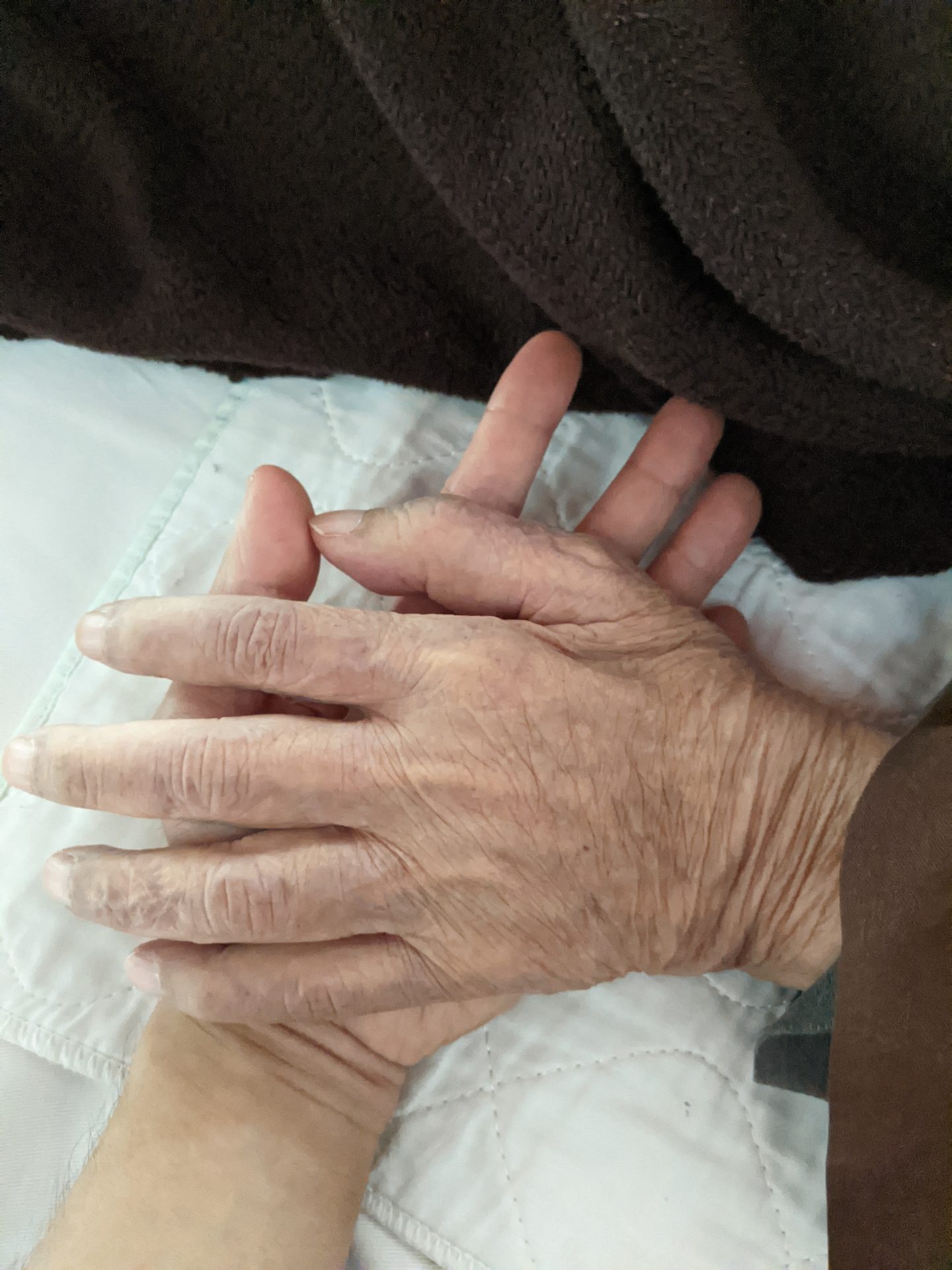 Brother Pháp Hữu - Author at Parallax Press