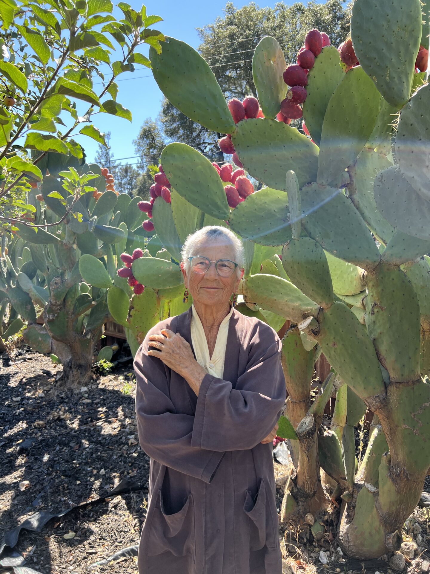 Jo-ann Rosen - Author at Parallax Press